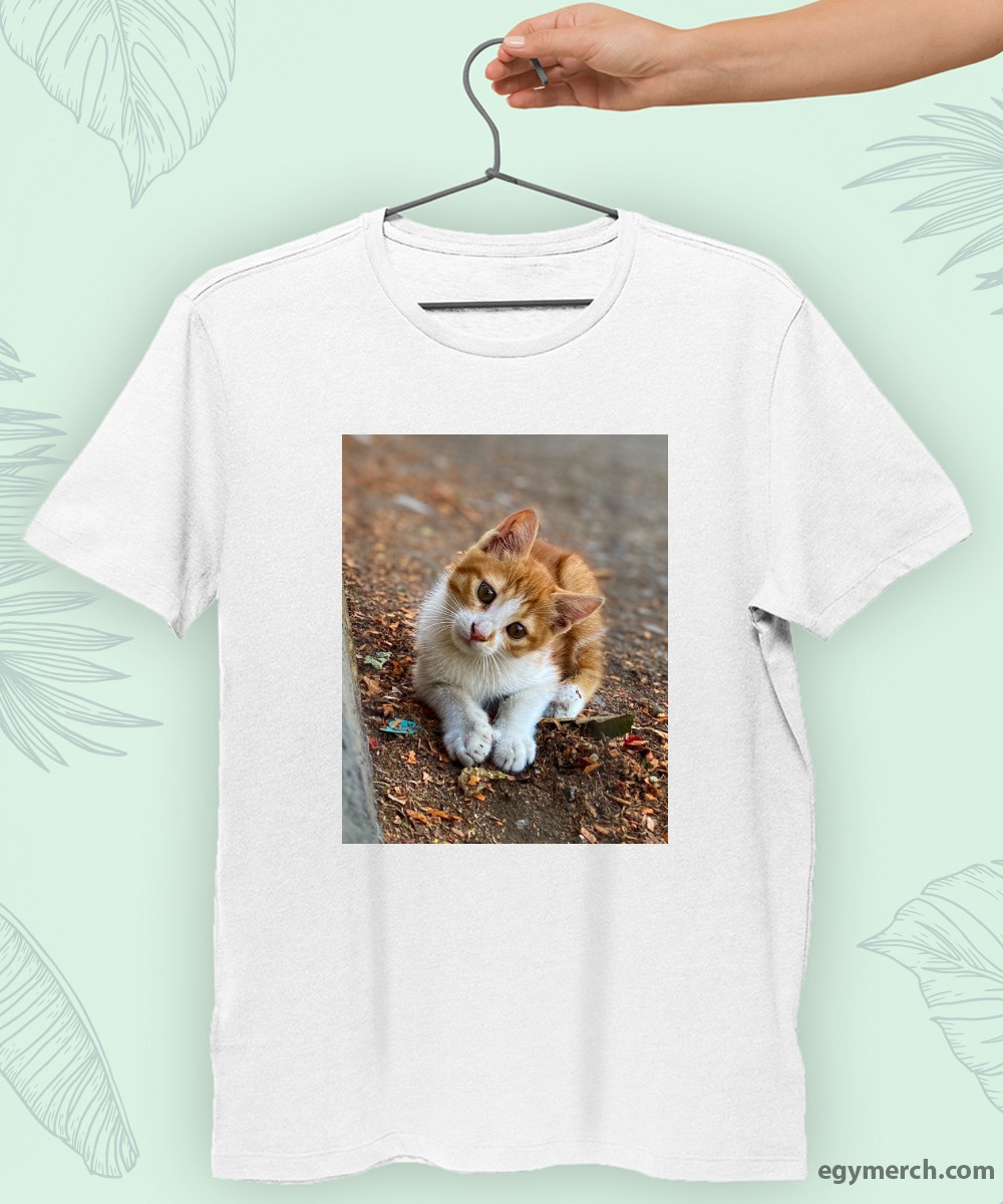 Cute cat | EgyMerch